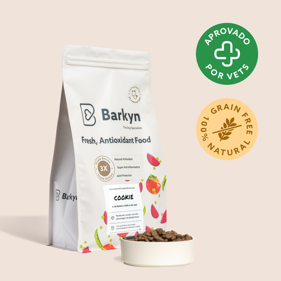 O plano alimentar do seu cão – Barkyn