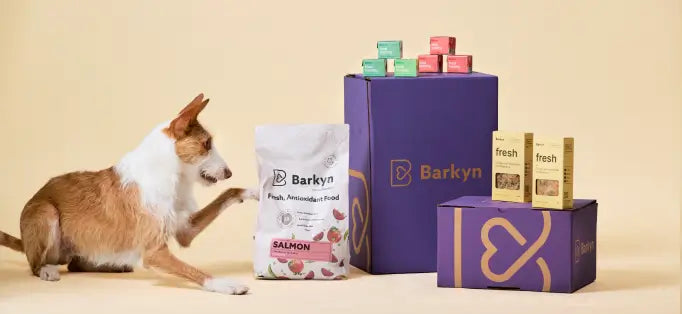 Longevity Plan - Quiz results – Barkyn
